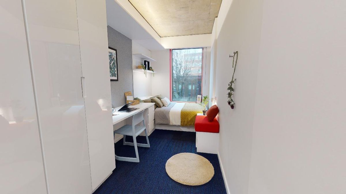 iQ Brighton, Brighton Reviews by Students