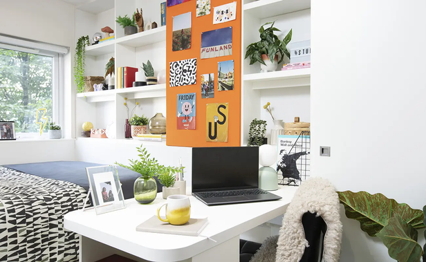 Adam Street Gardens Cardiff - 167 Verified student reviews