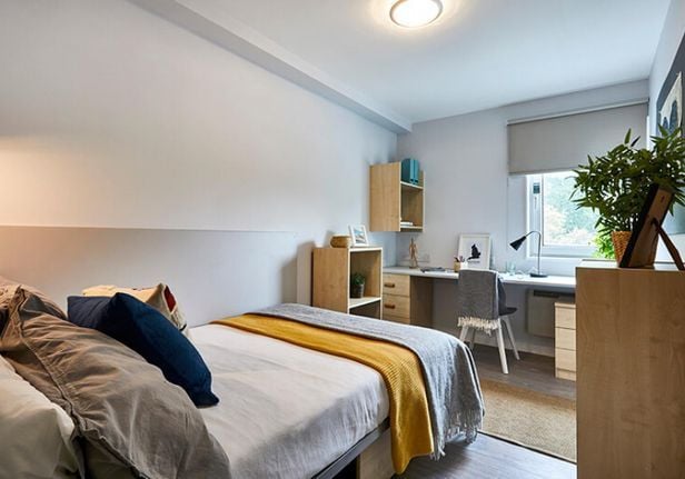 iQ Daisy Bank, Manchester - 54 Reviews by Students